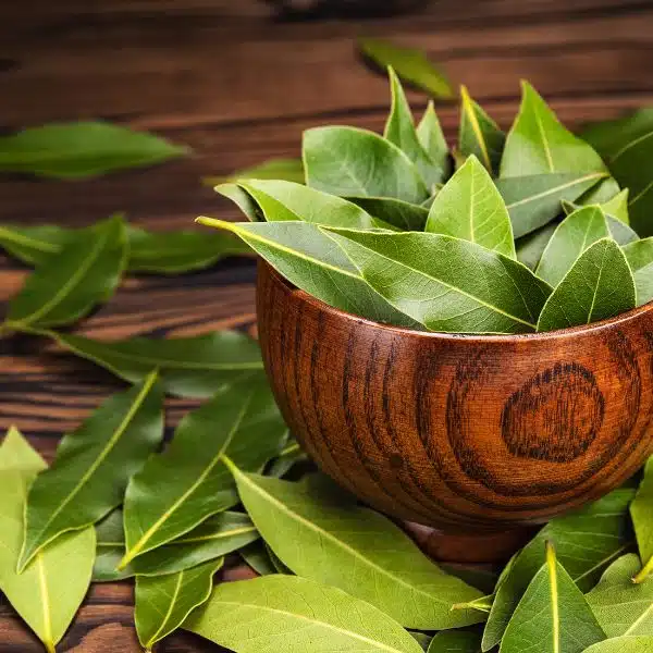 Como usar las hierbas aromáticas en la cocina